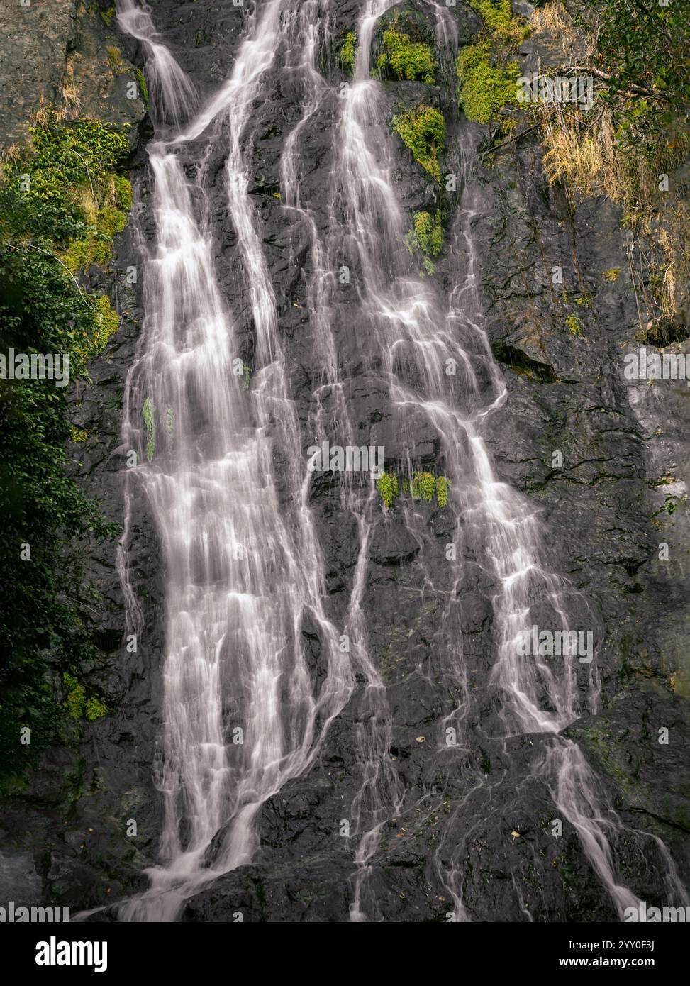 Tropical forest in Sarika waterfall is the landmark national park ...