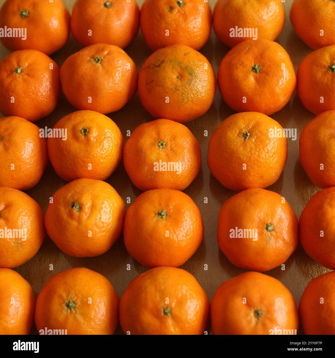 Fruit bowl with mandarins hi-res stock photography and images - Alamy