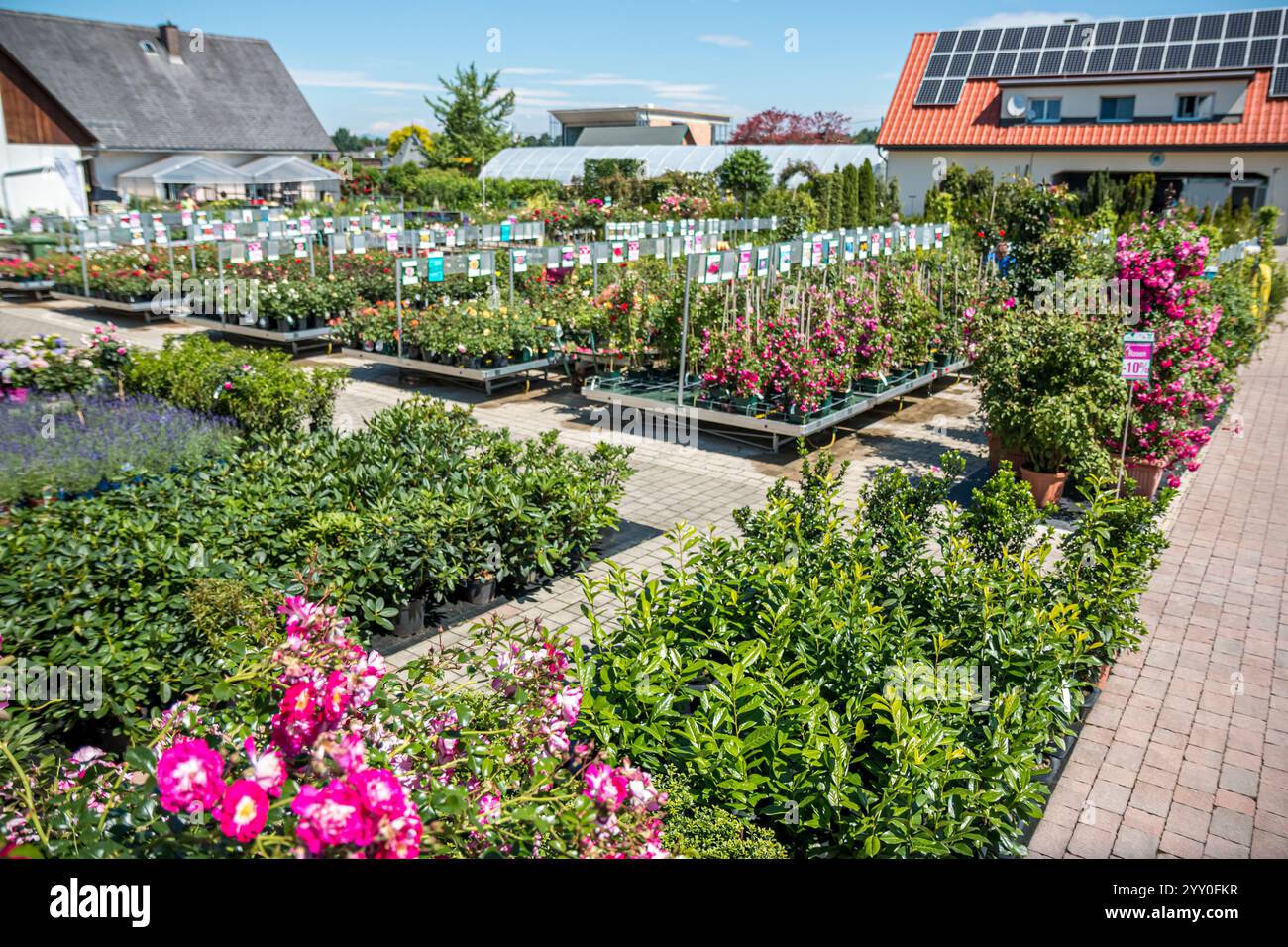 Many different potted plants hi-res stock photography and images - Alamy