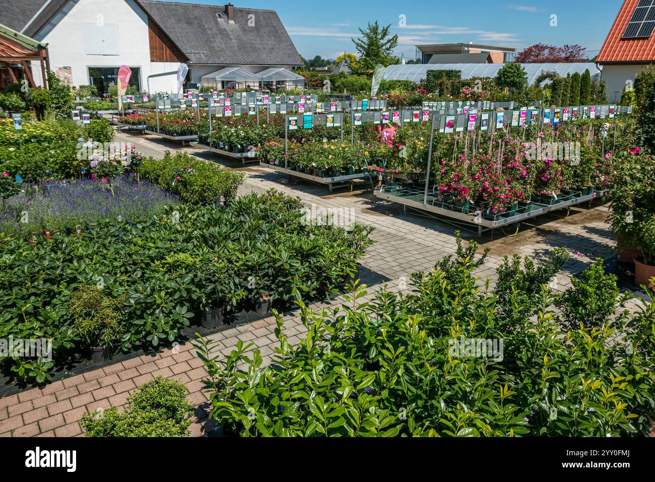 Many different potted plants hi-res stock photography and images - Alamy