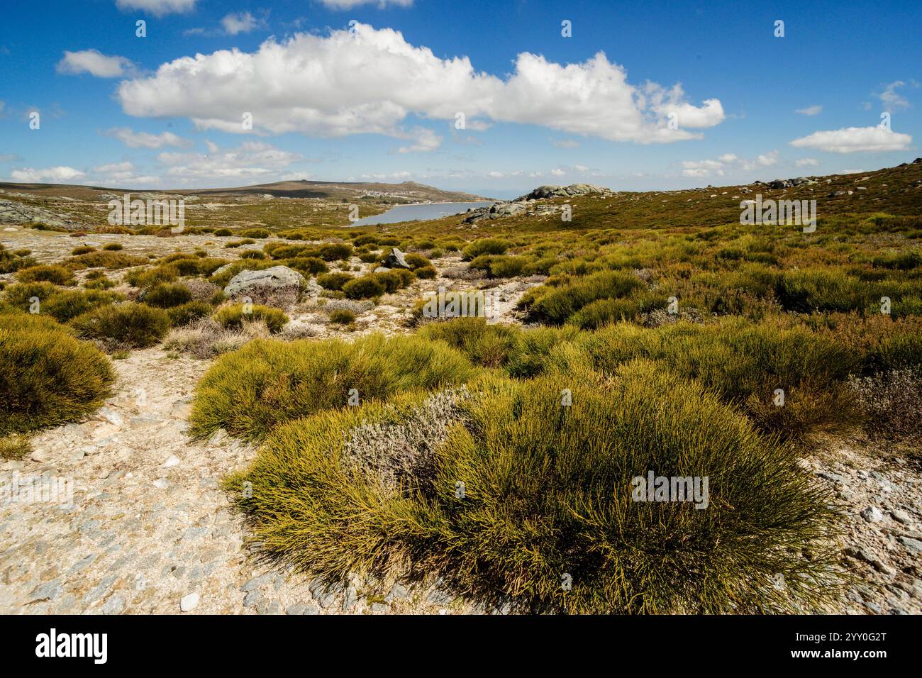 Nave of Saint António, Serra Da Estrela Natural Park, Beira Alta ...