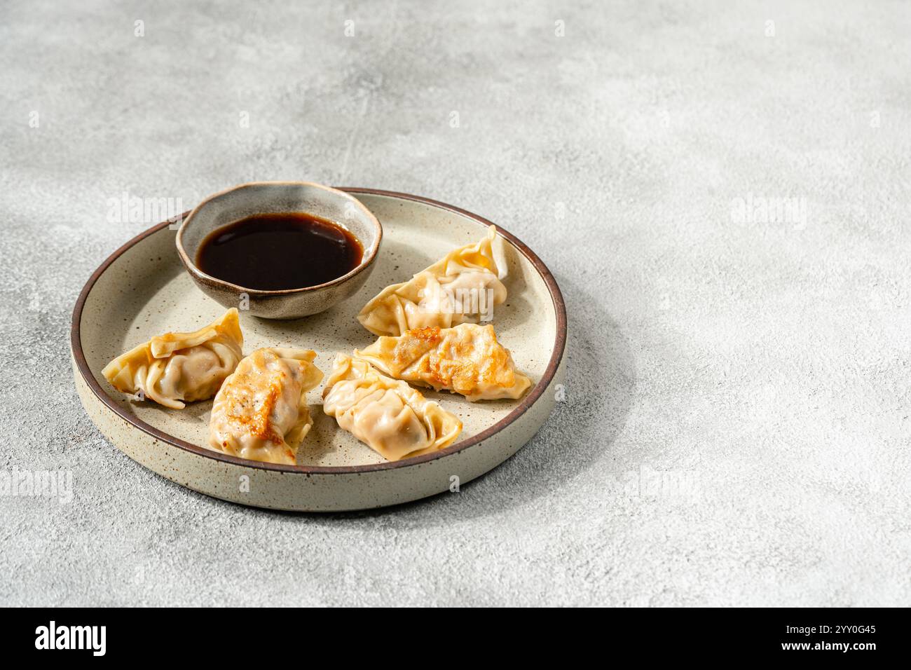 Grilled Gyoza or jiaozi fried stuffed dumplings Stock Photo - Alamy