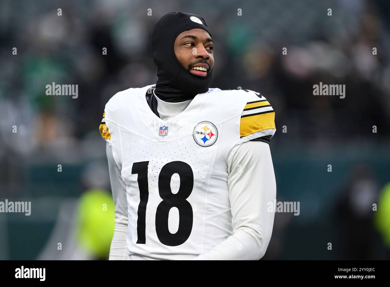 Pittsburgh Steelers wide receiver Mike Williams (18) looks on during ...