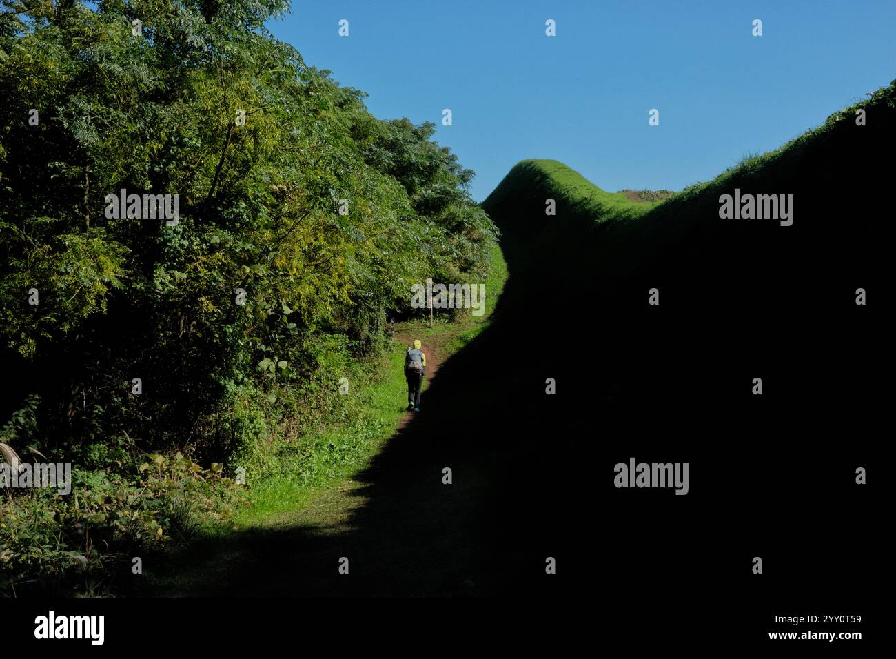 Hiking the Jeju Olle Trail, Goseong Forest, Jeju Island, South Korea ...