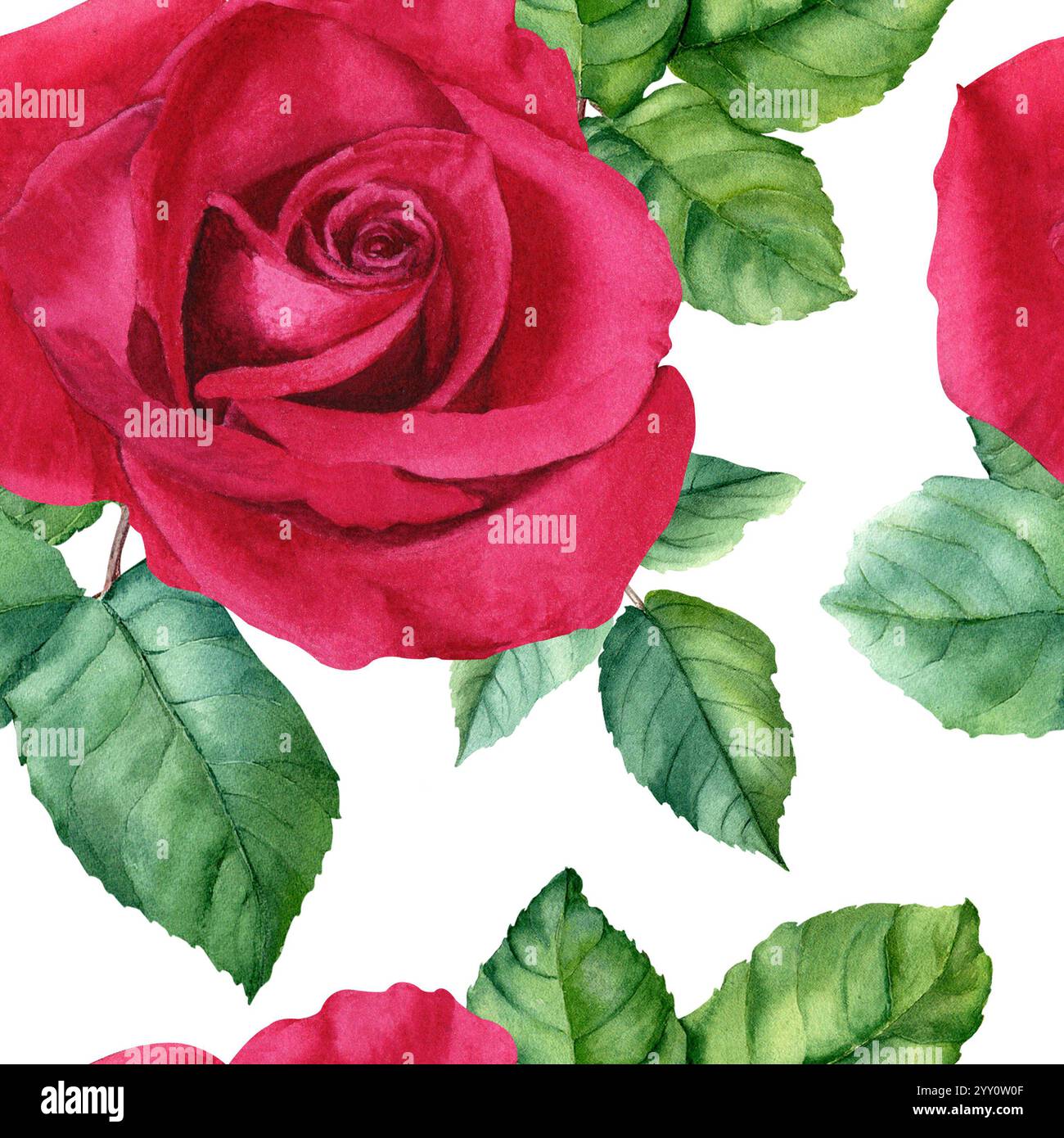 Luxor rose hi-res stock photography and images - Alamy