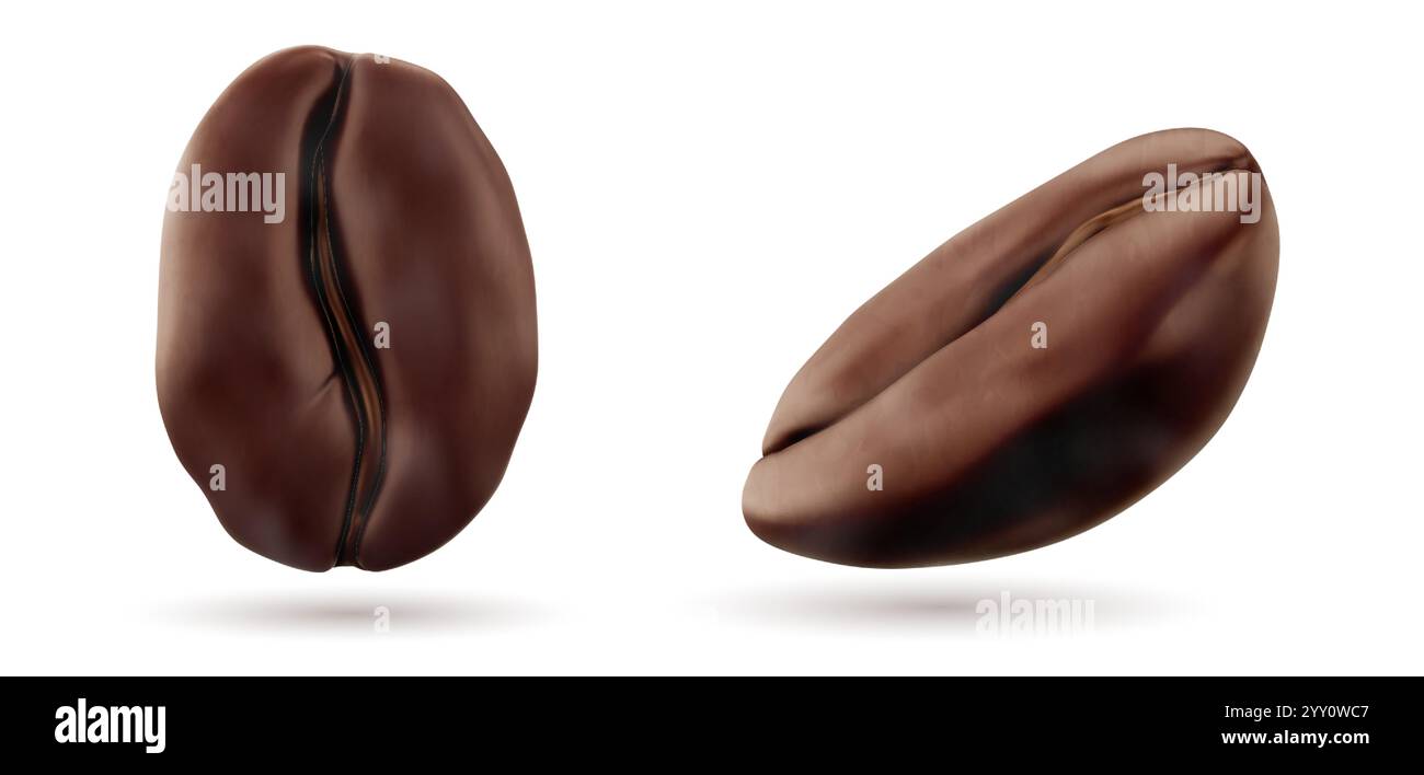 Realistic 3d coffee beans showing front and angled views. Floating ...
