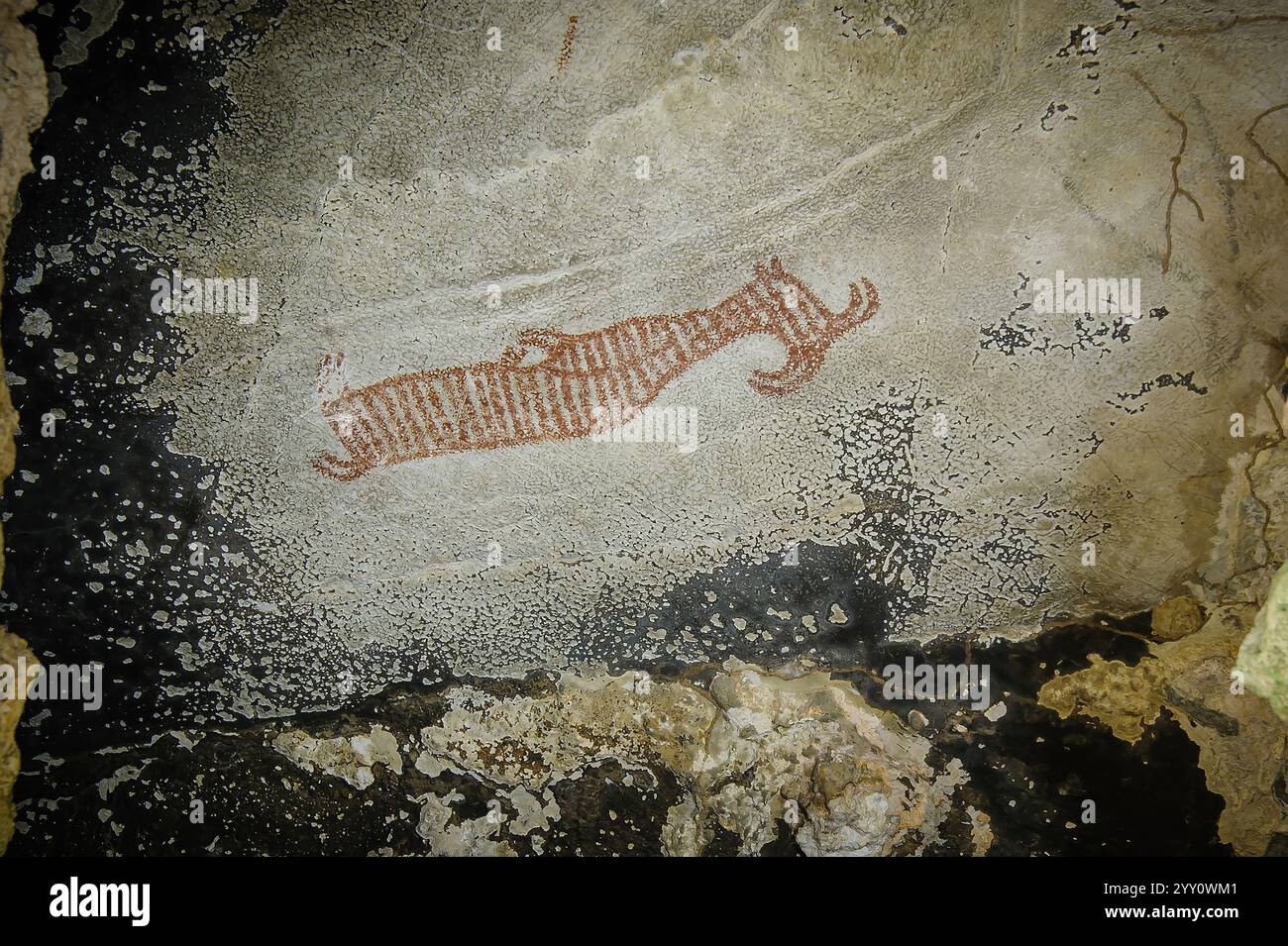 prehistoric paintings on the stone of the cave wall Stock Photo - Alamy