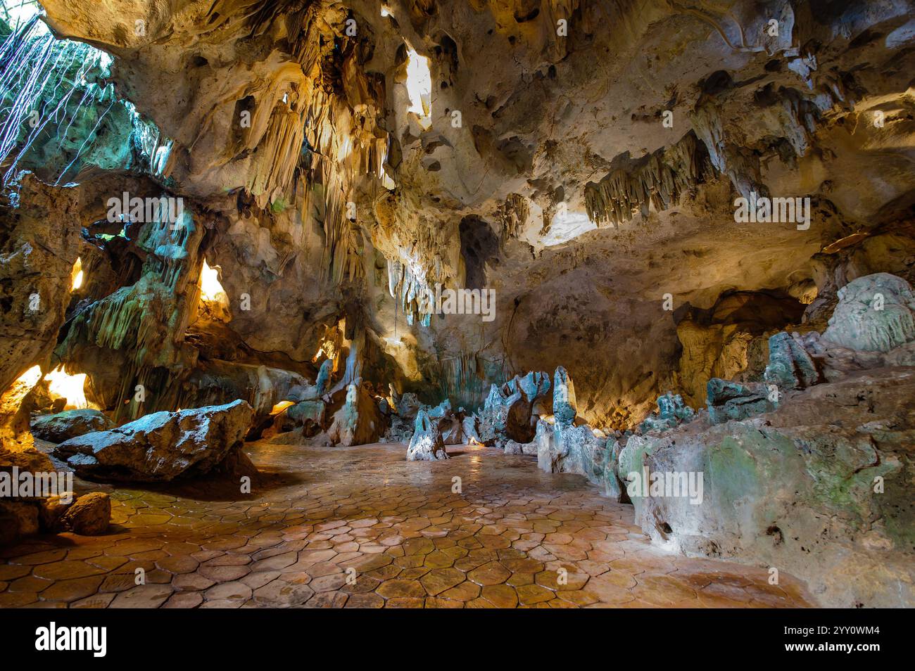 a cave with stalagmites and stalactites. The cave is large and dark ...