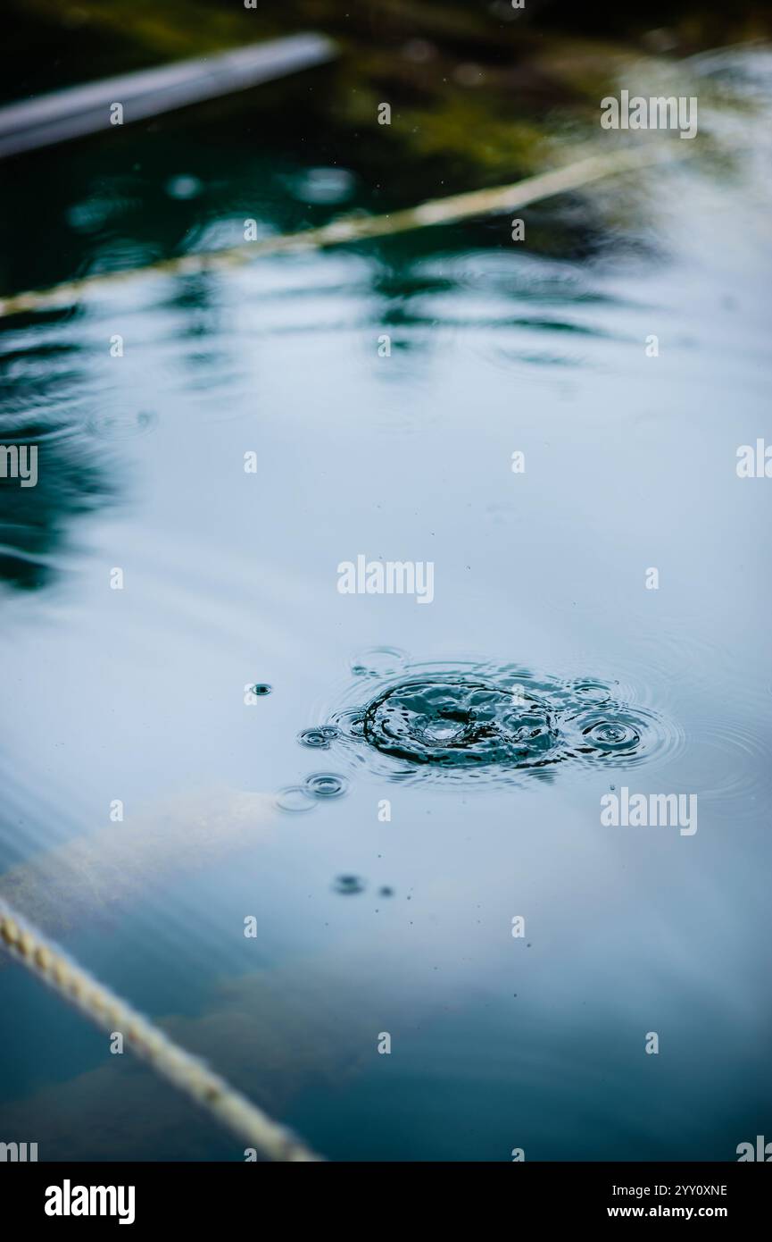 rain drops on the surface of water in a puddle with graduated shade of ...
