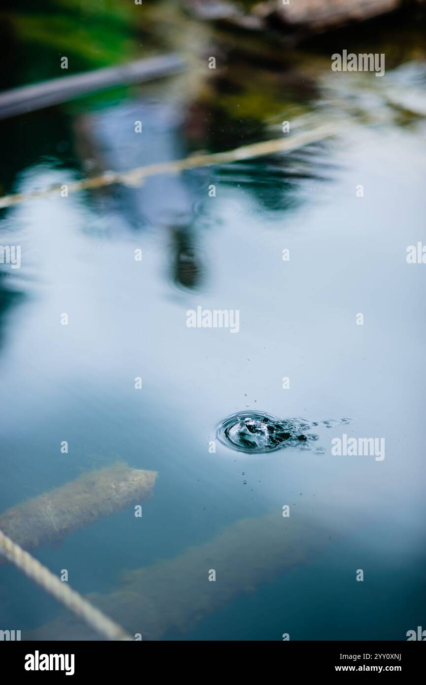 rain drops on the surface of water in a puddle with graduated shade of ...
