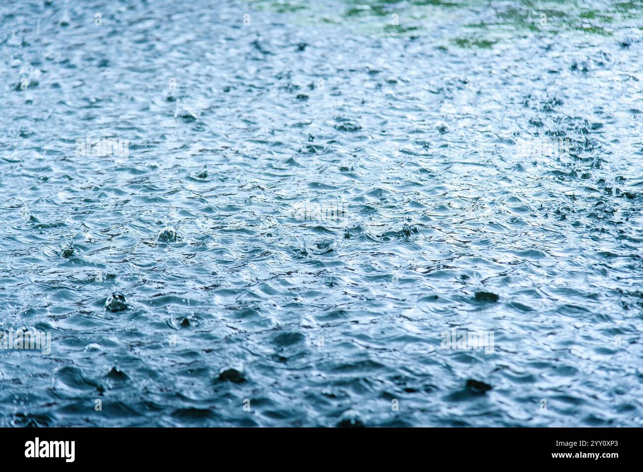 rain drops on the surface of water in a puddle with graduated shade of ...