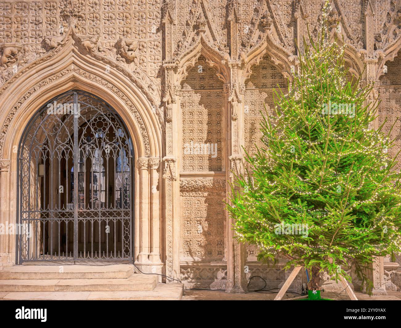 Christmas tree outside the rood screen in the christian cathedral at ...