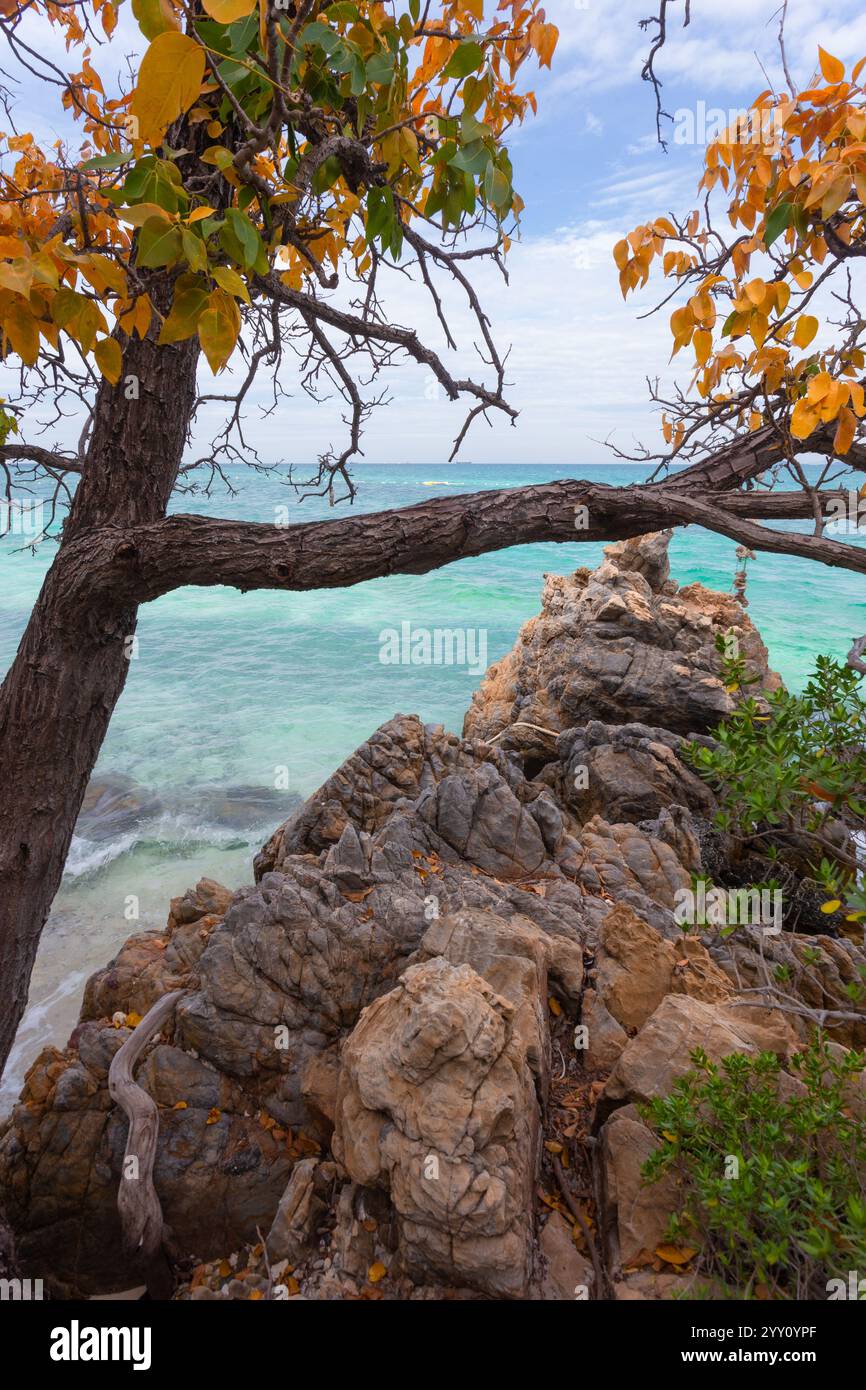 Koh Kham, Sattahip, an ecotourism destination, welcomes tourists who ...