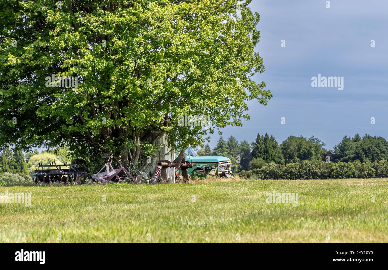 Old truck left on the field hi-res stock photography and images - Alamy
