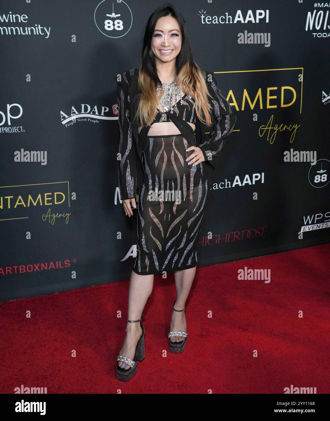 Calista Wu arrives at the 2024 UNTAMED Agency AAPI Holiday Charity Gala held at Intercrew LA in ...