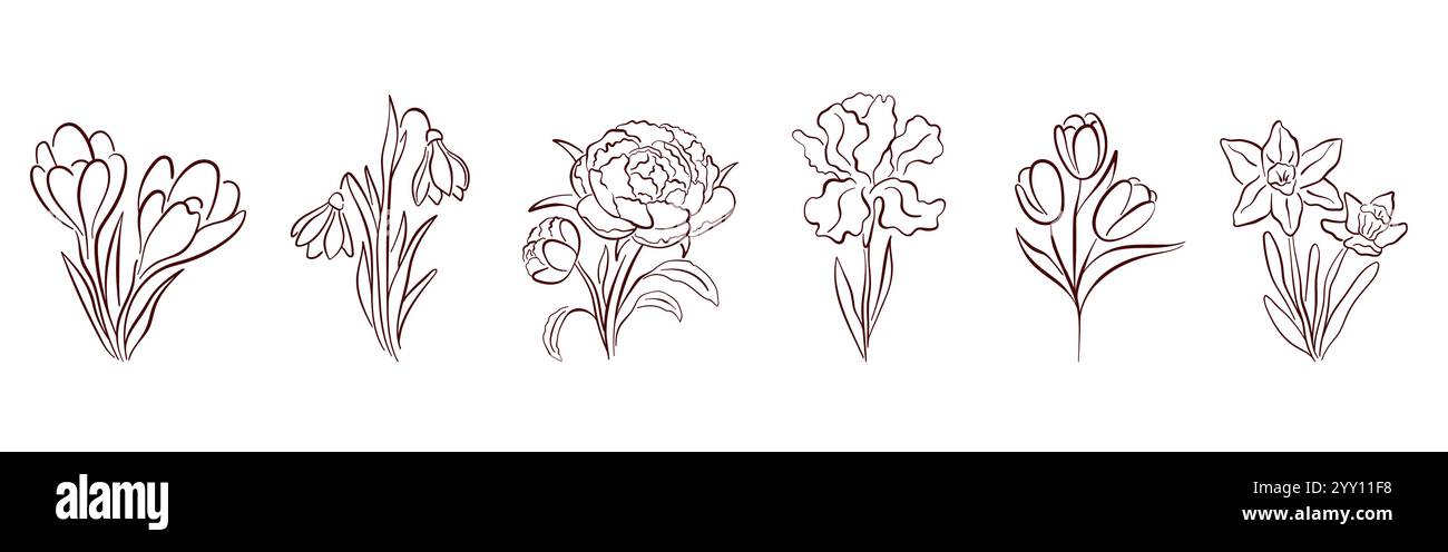 Spring flower line art set with crocus, snowdrop, peony, iris, tulip ...