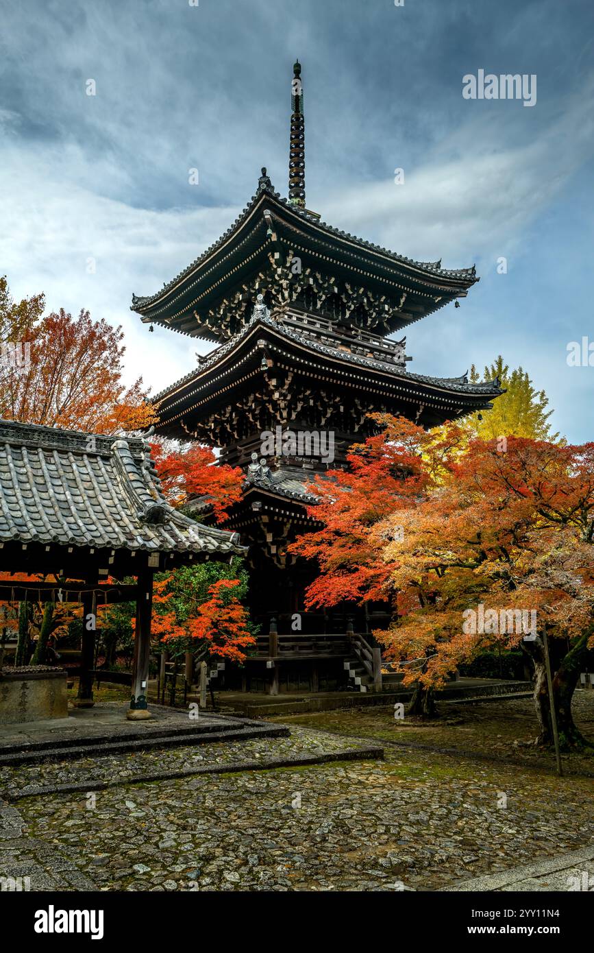 The konkai komyo-ji temple during autumn located in Kyoto Japan Stock ...