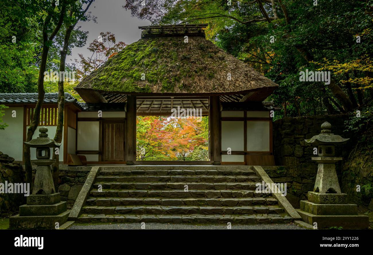 Gate and trees at the Honen-in temple in Kyoto Japan Stock Photo - Alamy