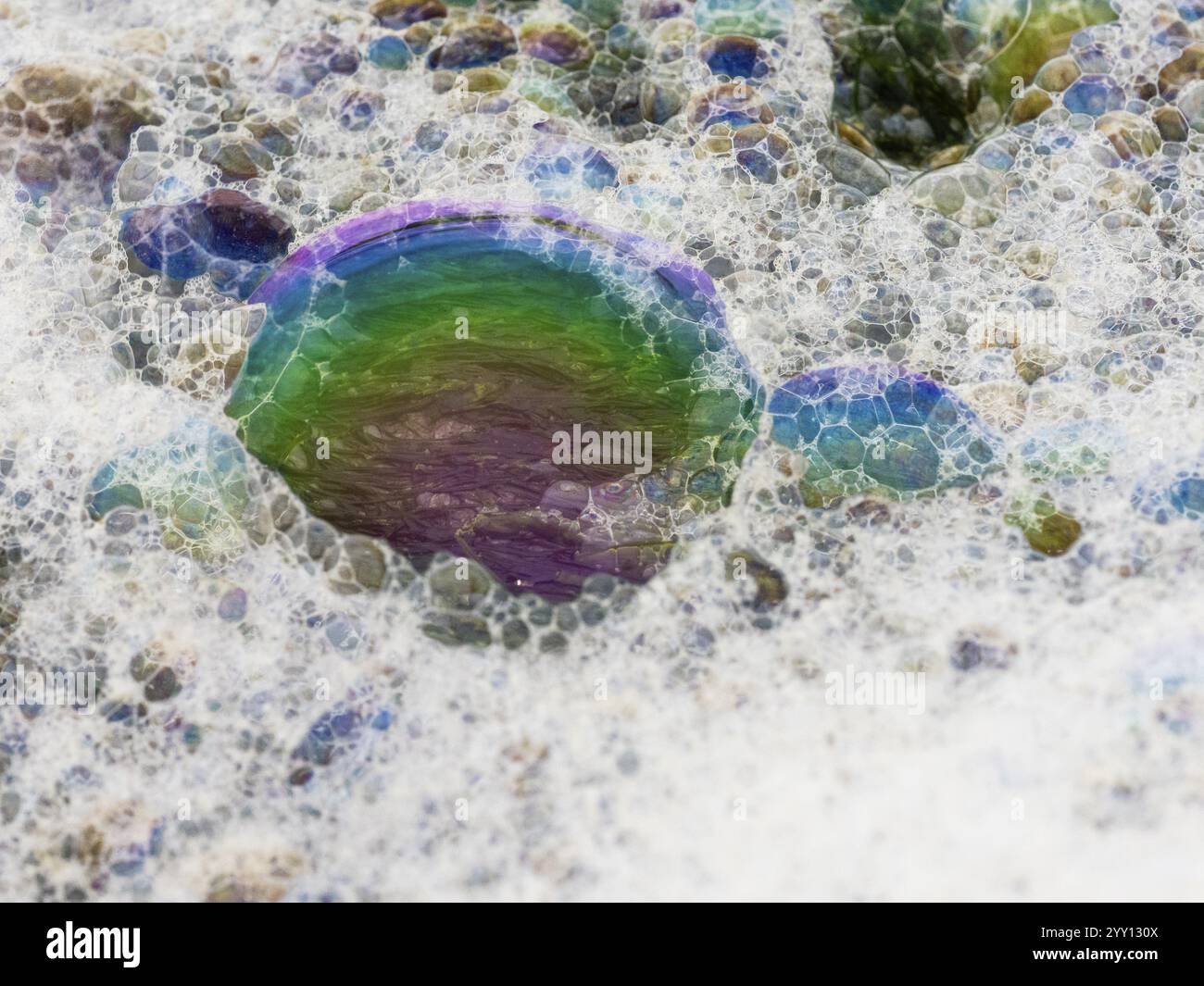 Colorful patterns of bubbles on the beach, caused by the wind blowing ...