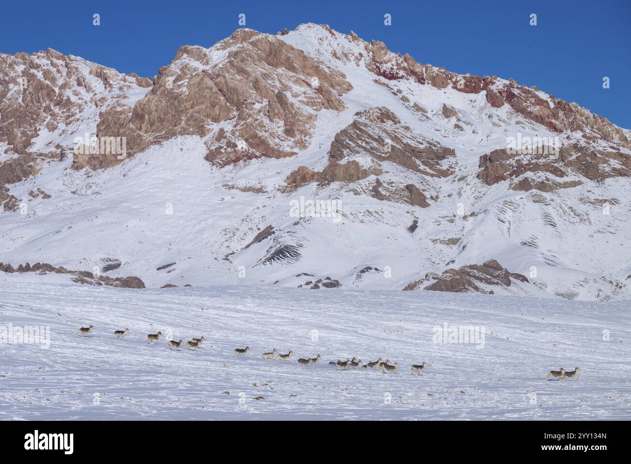 Scenery deserted mountain mountainous plateau hi-res stock photography ...