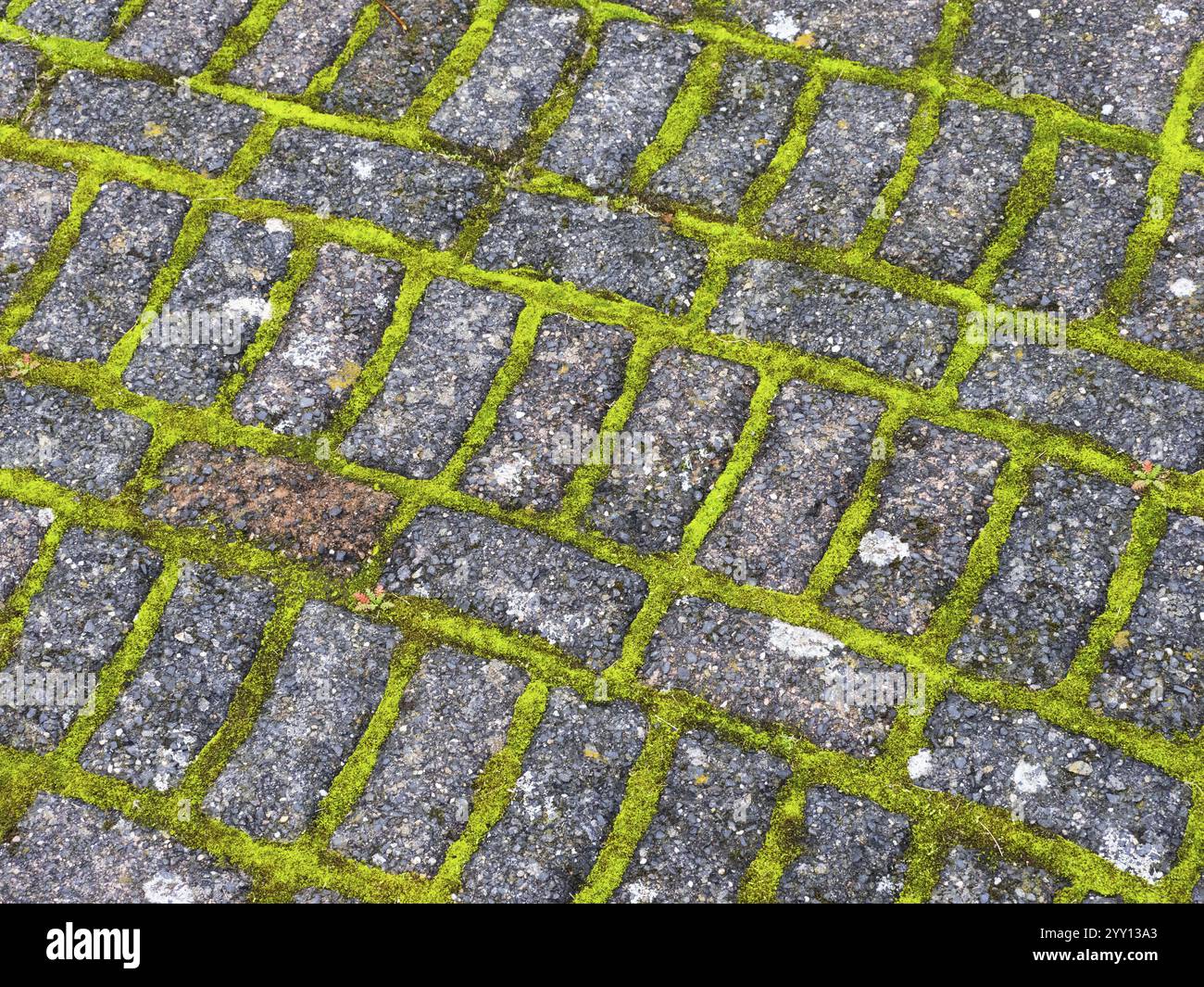 Symmetrical joints hi-res stock photography and images - Alamy