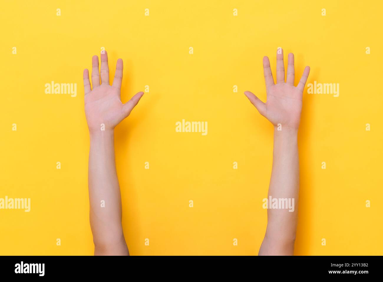 Two hands raising up with open empty palms isolated in yellow color ...