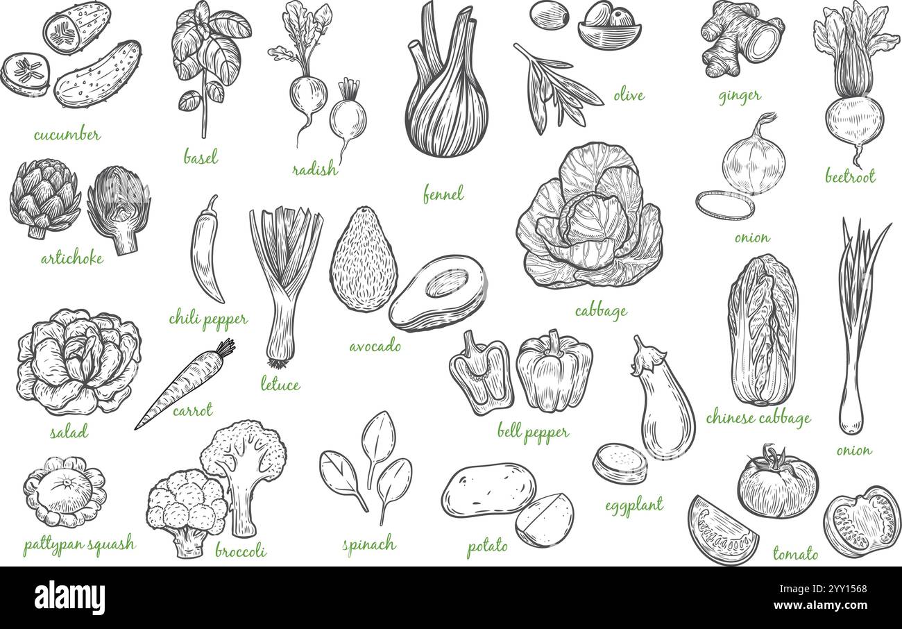 Green vegetables line drawing collection isolated on white background ...