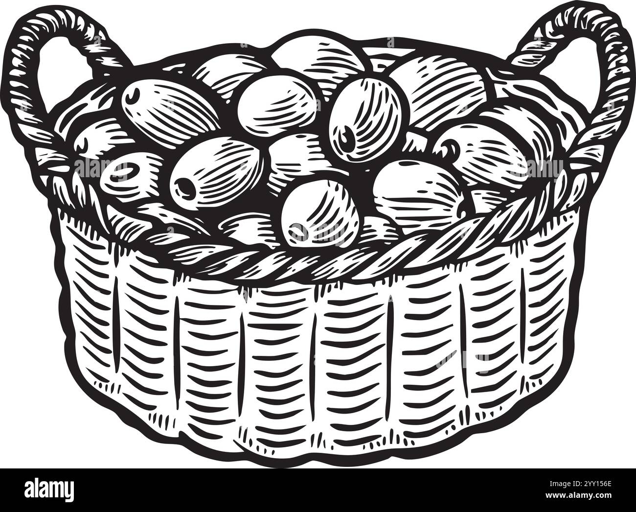 Wicker basket with olives line drawing isolated on white background ...