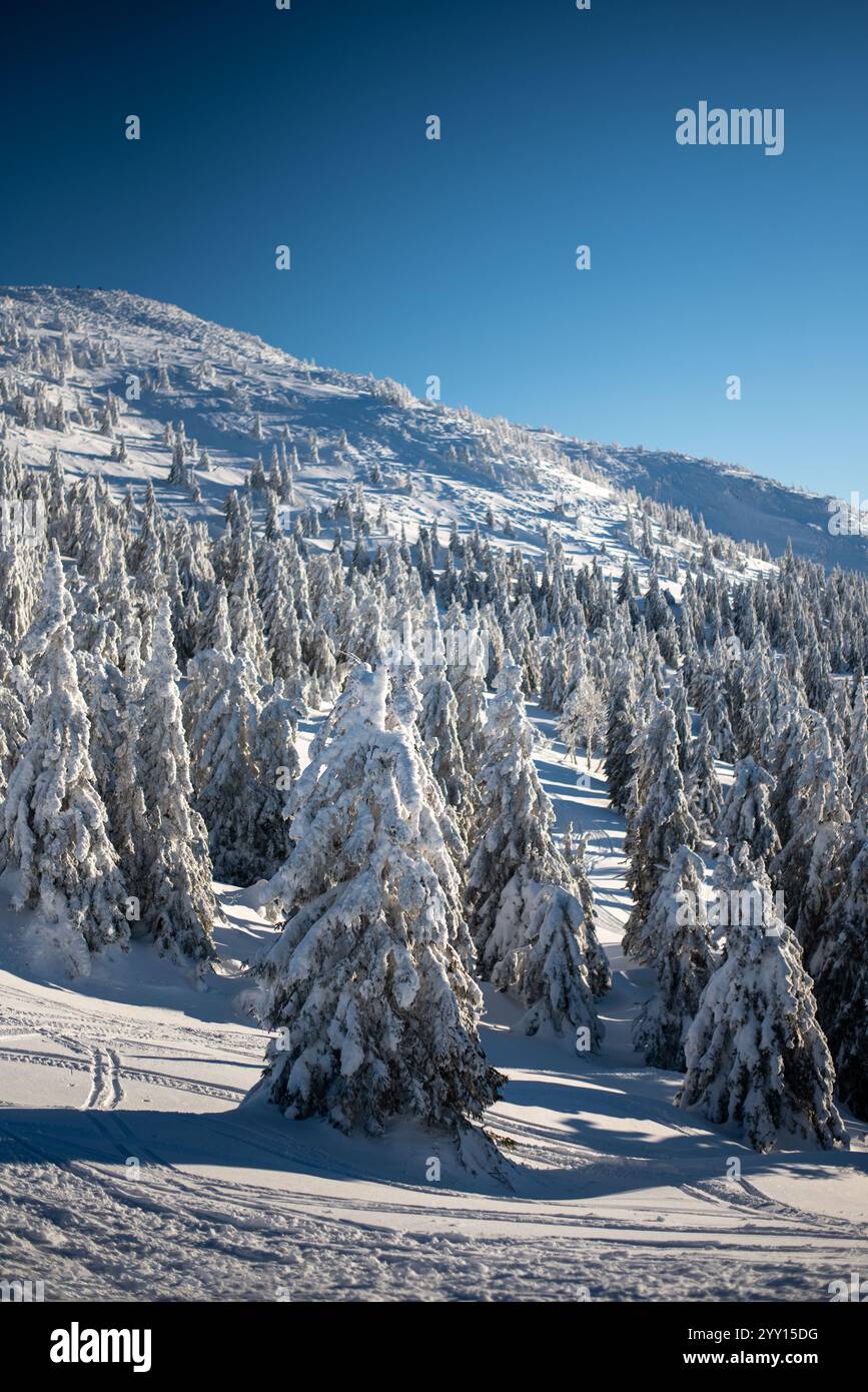 Pilsko Ski Resort, located on the border of Slovenia and Poland ...