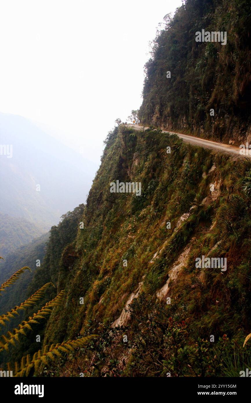 Bolivia's Death Road. Narrow, winding road carved into the side of a ...