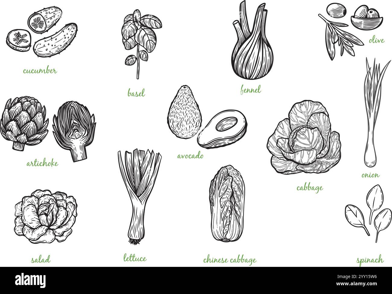 Vegetables engraved hand drawing illustration Stock Vector Image & Art ...