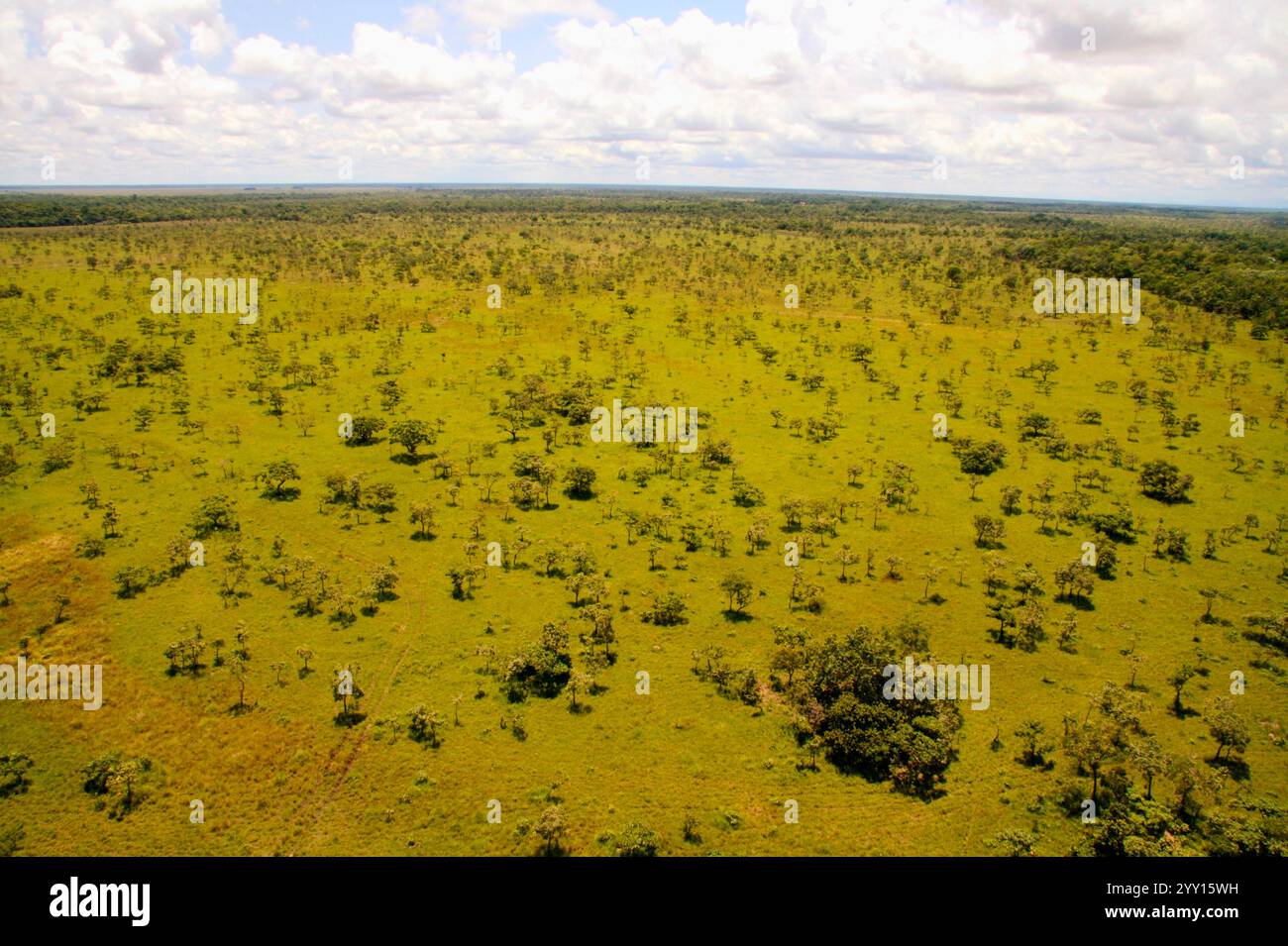 Aerial view of the Bolivian savanna, characterized by vast open ...
