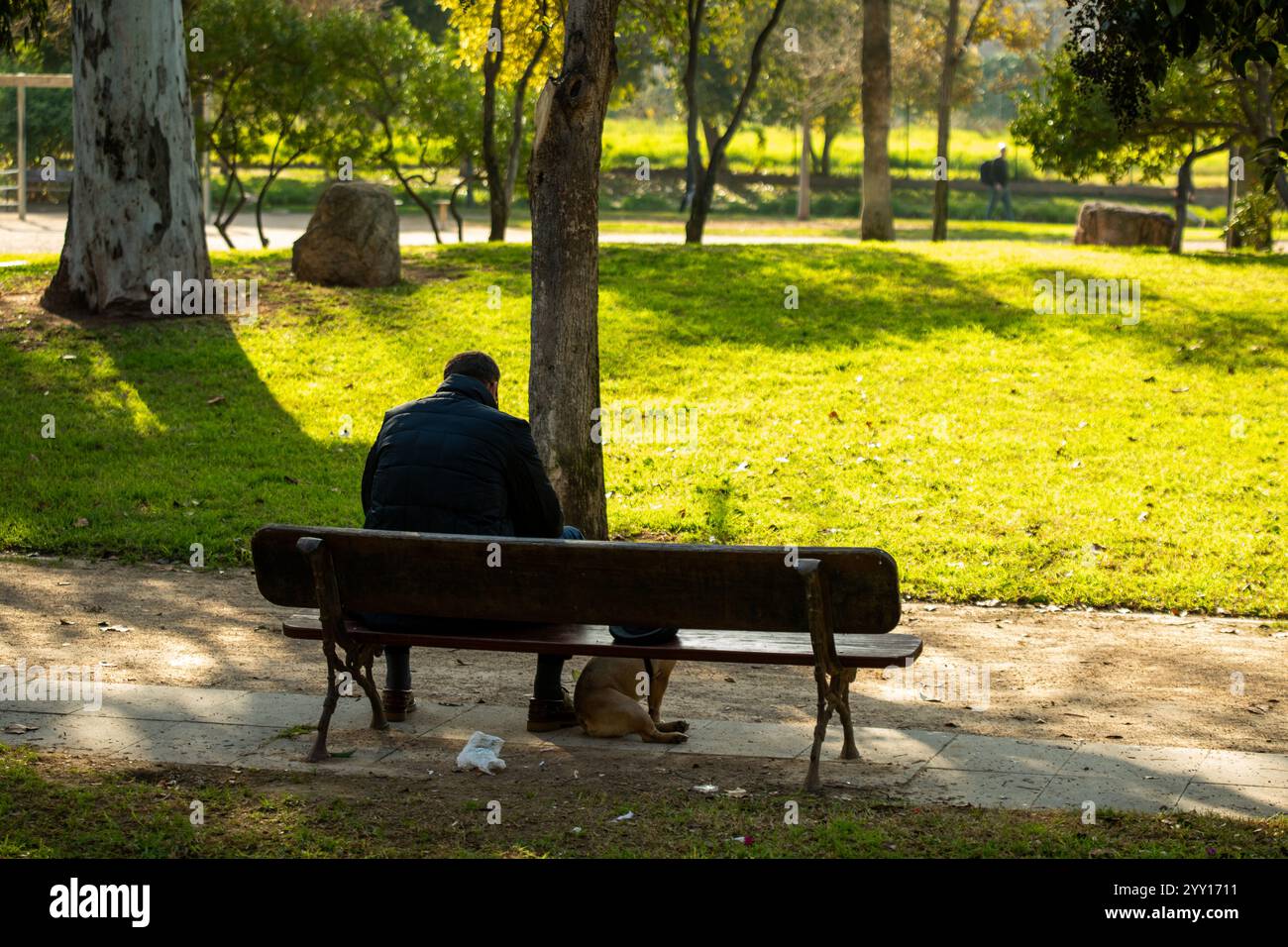 Dog owner on a park bench hi-res stock photography and images - Alamy