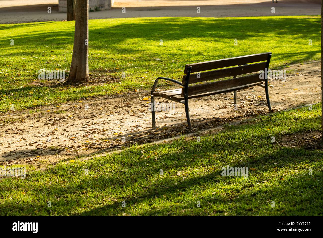 Empty bench under tree hi-res stock photography and images - Alamy