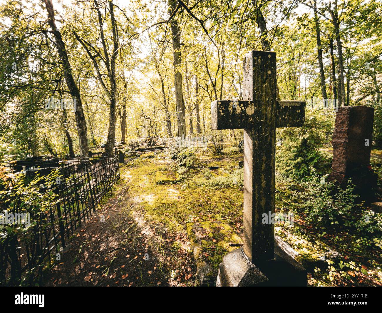 A peaceful cemetery pathway lies under sunlit trees, highlighting natures beauty and the essence ...