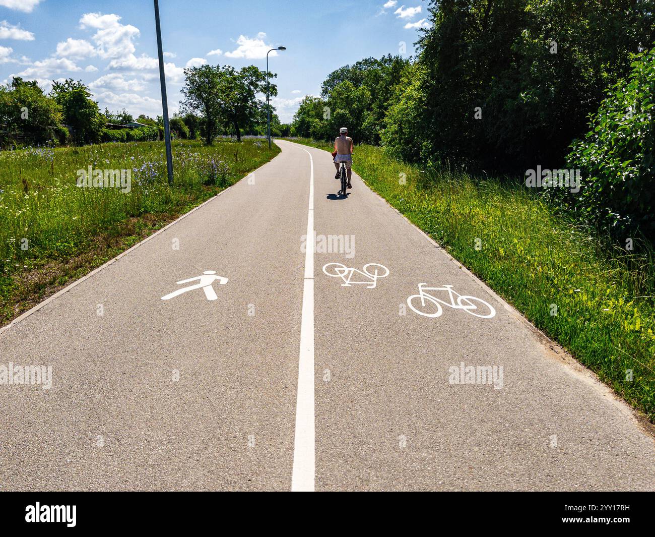 A cyclist happily rides along a paved path adorned with pedestrian and ...