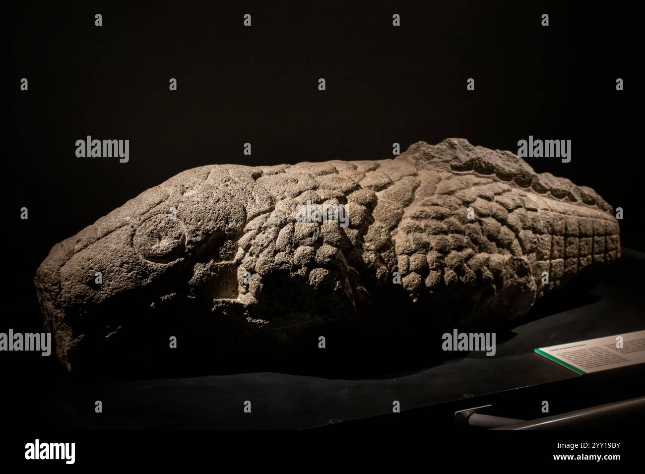 Mexico City, Mexico November 12, 2024: Stone sculpture of Cipactli, the ...