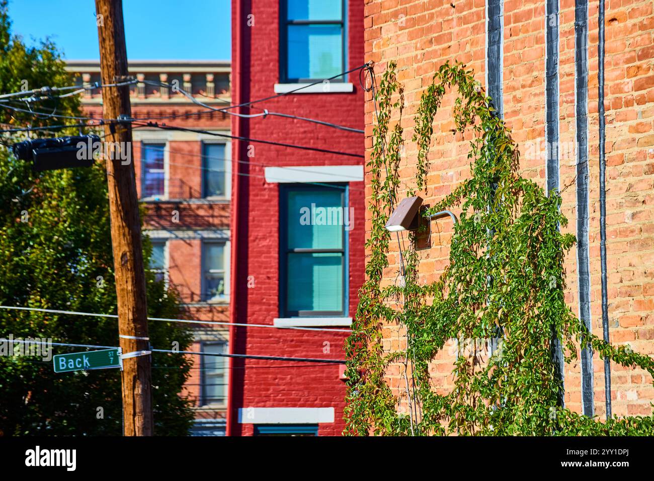 Urban Ivy and Brick Contrast in Over-The-Rhine Eye-Level View Stock Photo - Alamy