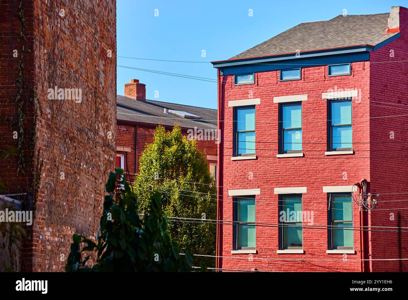 Brick Buildings and Urban Renewal in Cincinnati Eye-Level Perspective ...