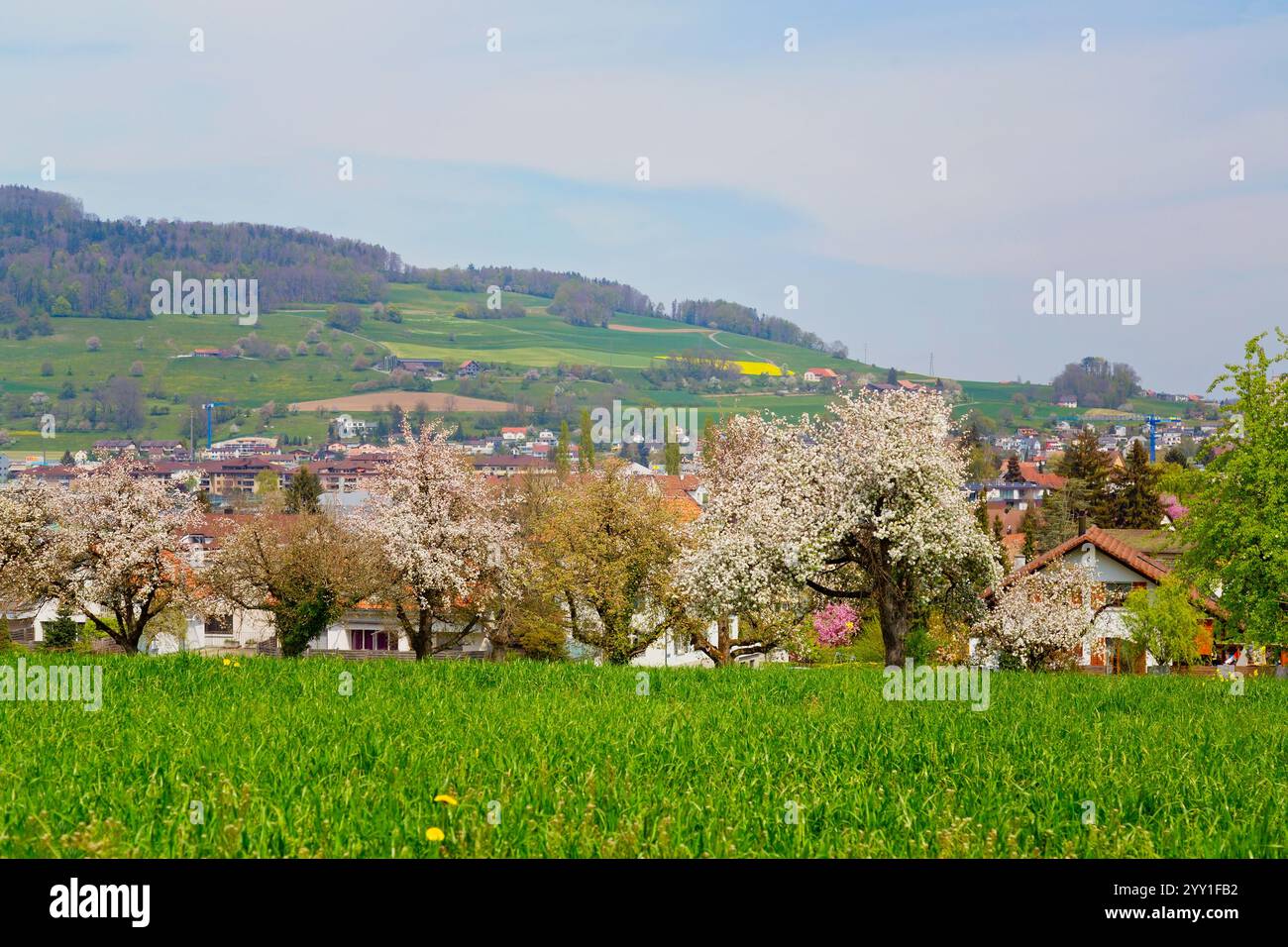 Panoramic view of Reinach Village in Aargau, Switzerland Stock Photo ...
