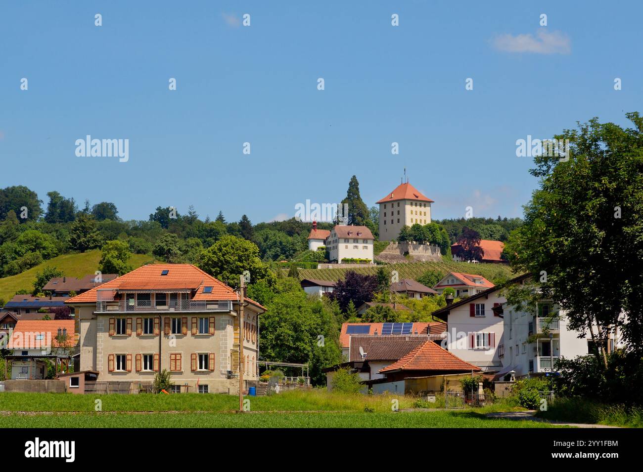 Panoramic view of Baldegg Castle, Canton Aargau, Switzerland Stock ...