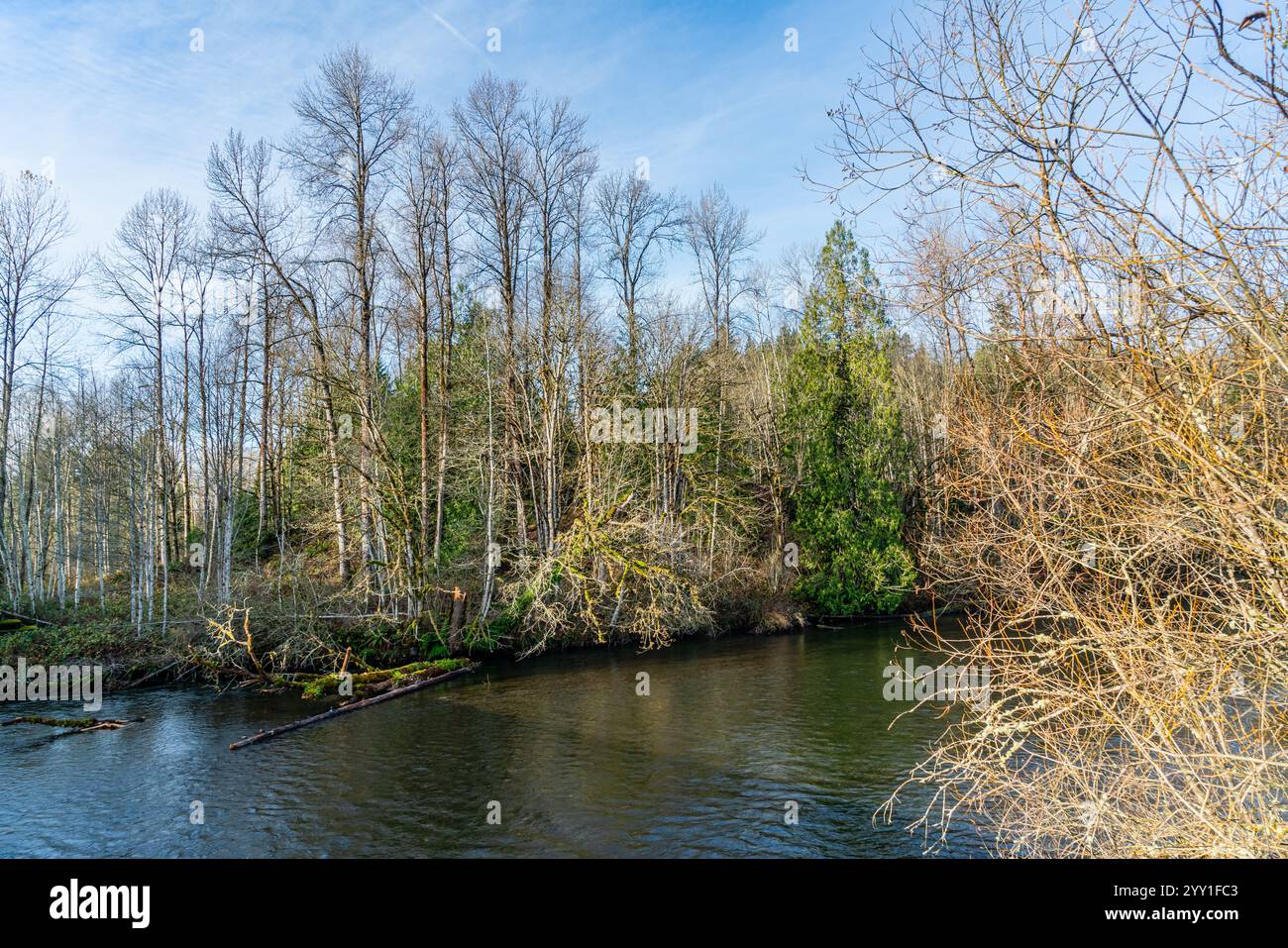 A view of the Green River at Flaming Geyser State Park in Washington ...