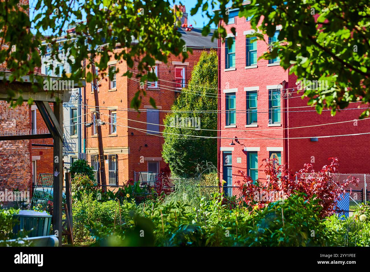 Community Garden and Red Brick Buildings in Cincinnati Over-the-Rhine ...
