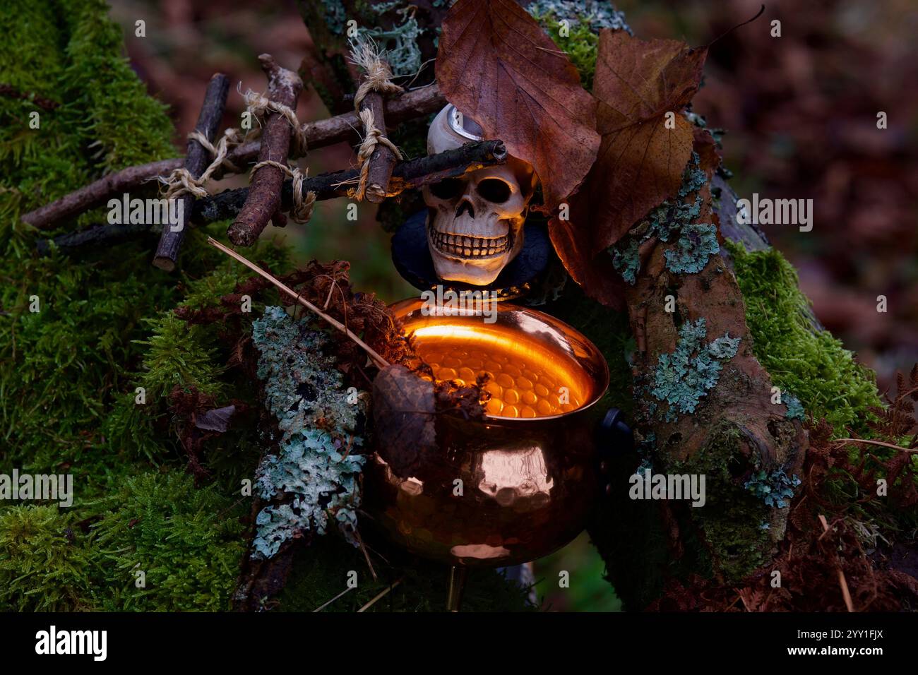 Human skull on branch hi-res stock photography and images - Alamy
