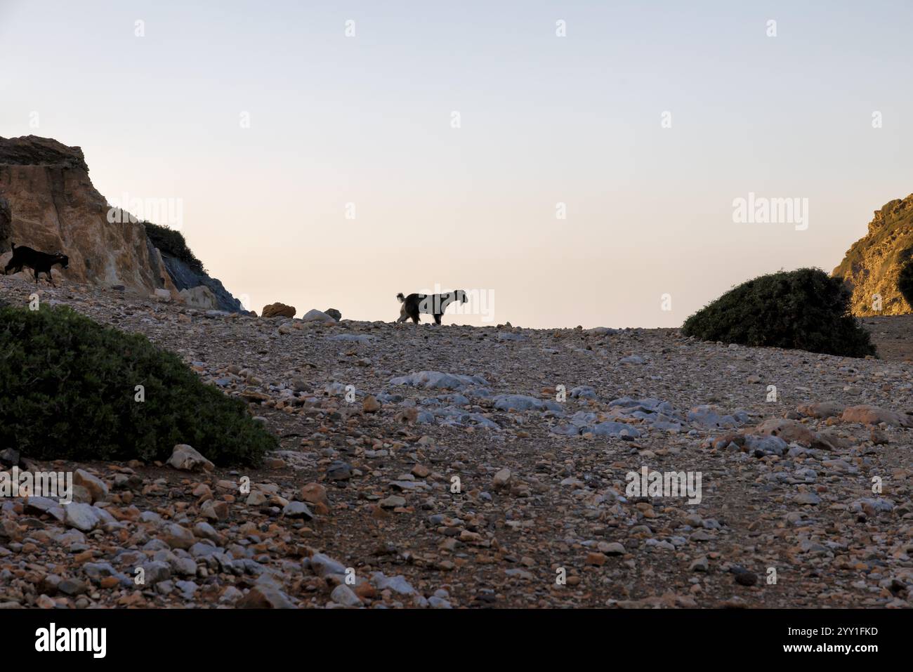 Crete native hi-res stock photography and images - Alamy