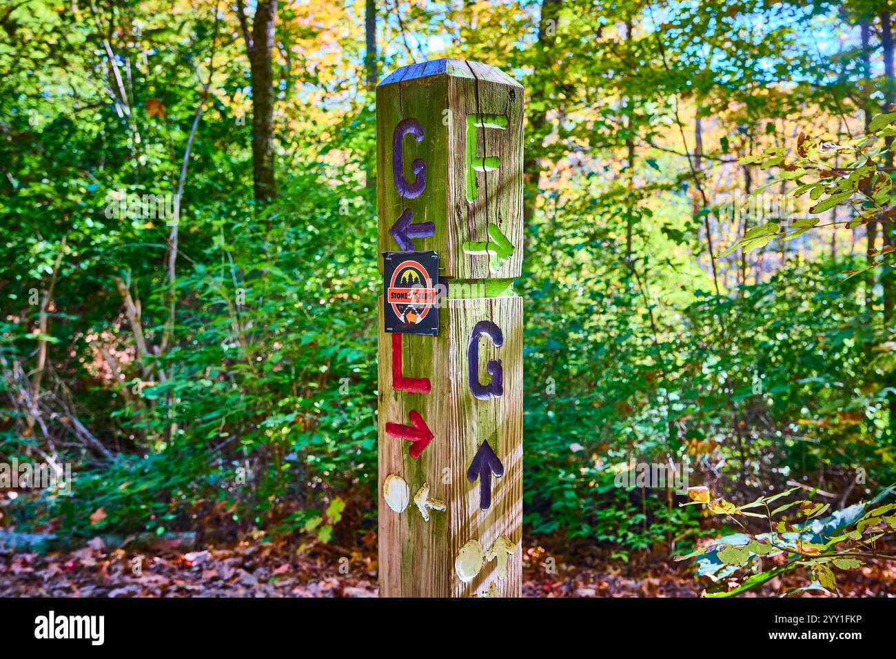 Woodland Trail Marker in Autumn Forest at Eye Level Stock Photo - Alamy