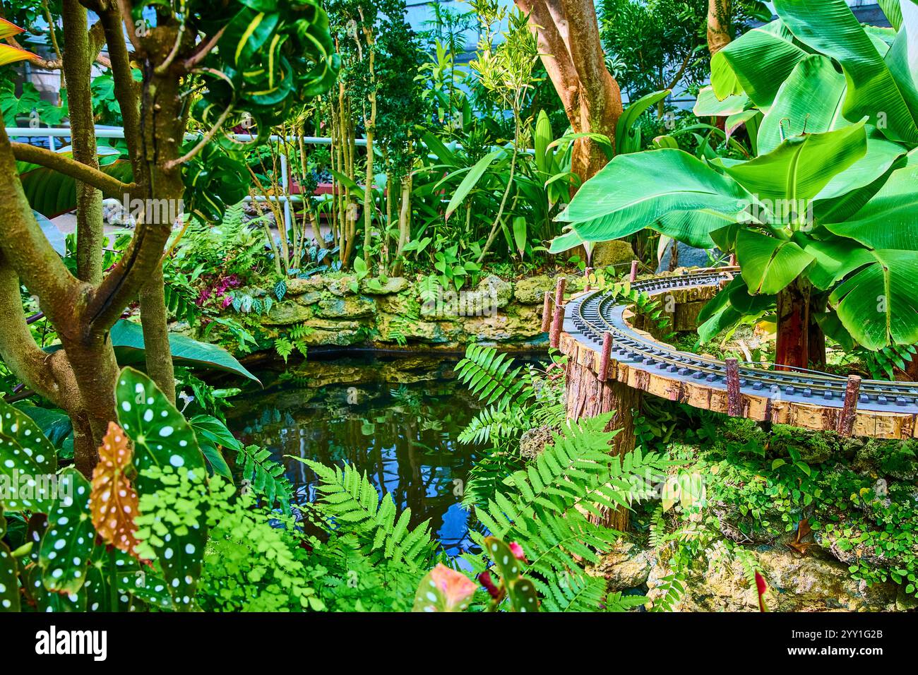 Tropical Train Track in Lush Indoor Garden Eye Level View Stock Photo ...