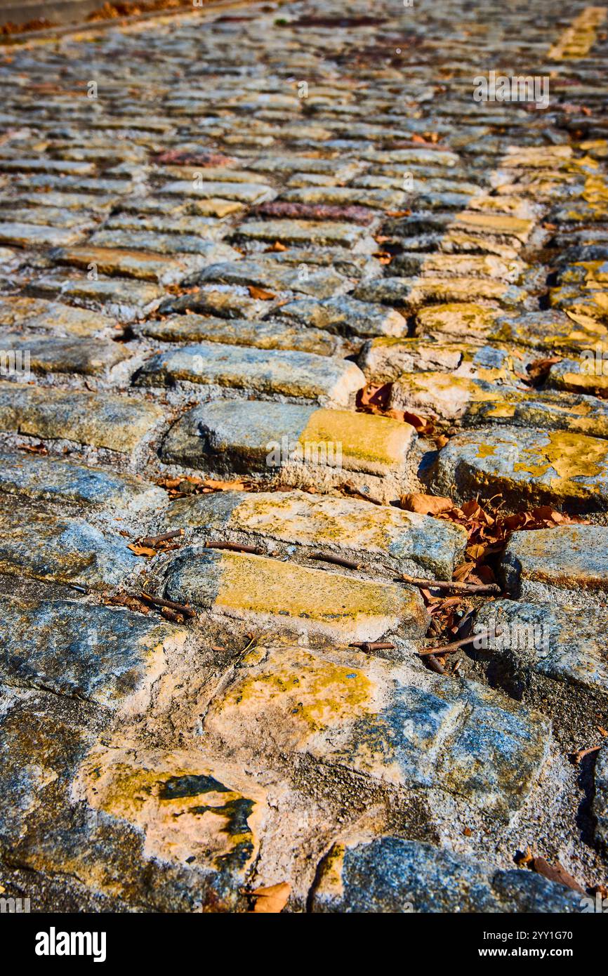 Historic Cobblestone Path Texture with Low Ground Perspective Stock ...