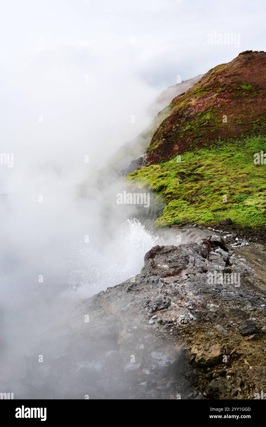 Hot spring (geothermal energy) used for heating. Water emerges at 97º C ...