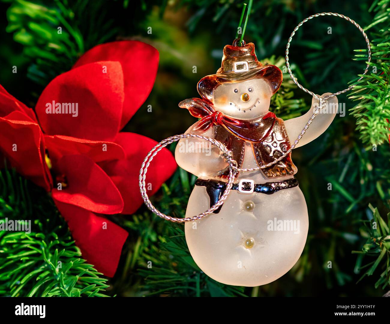 Lasso ornament hi-res stock photography and images - Alamy
